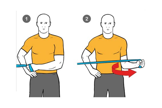 Manguito Rotador. Lesiones y ejercicios | Blog Clínicas Lobo